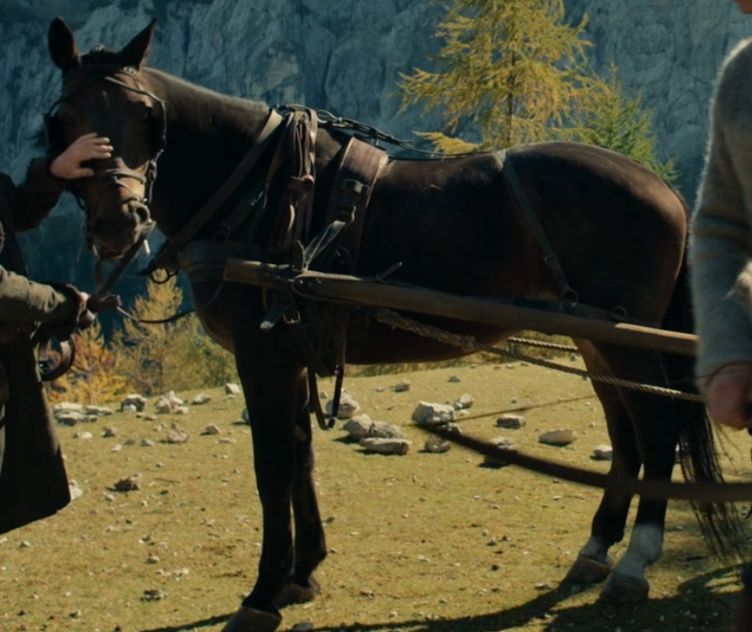 Encyclopaedia WoT: Bela.png